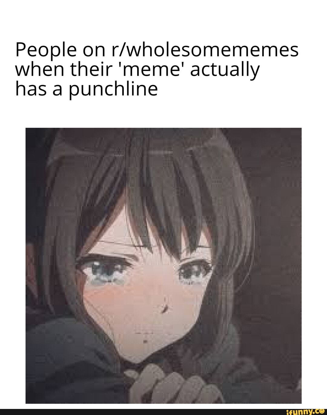 People on when their 'meme' actually has a punchline de - iFunny