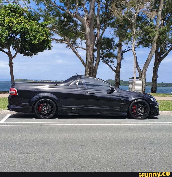 Maloo memes. Best Collection of funny Maloo pictures on iFunny