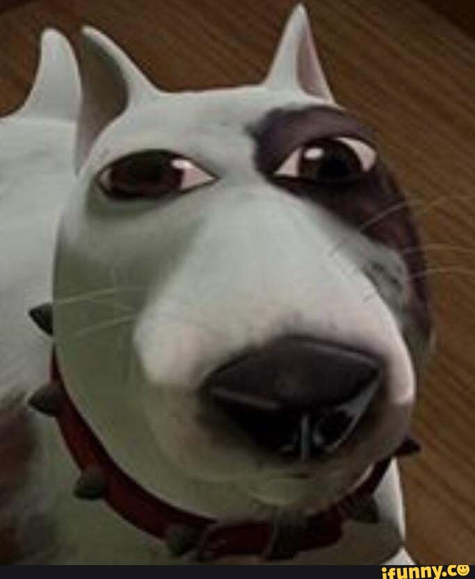 Slinky_dog memes. Best Collection of funny Slinky_dog pictures on iFunny