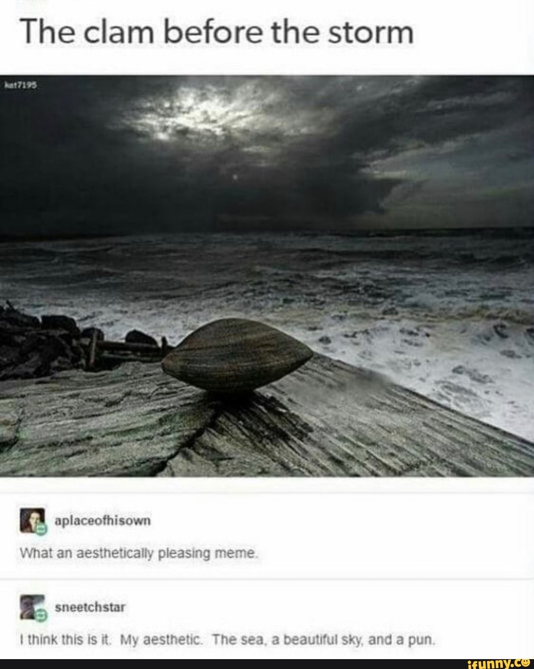 The clam before the storm What an aesthetically pleasing meme ...