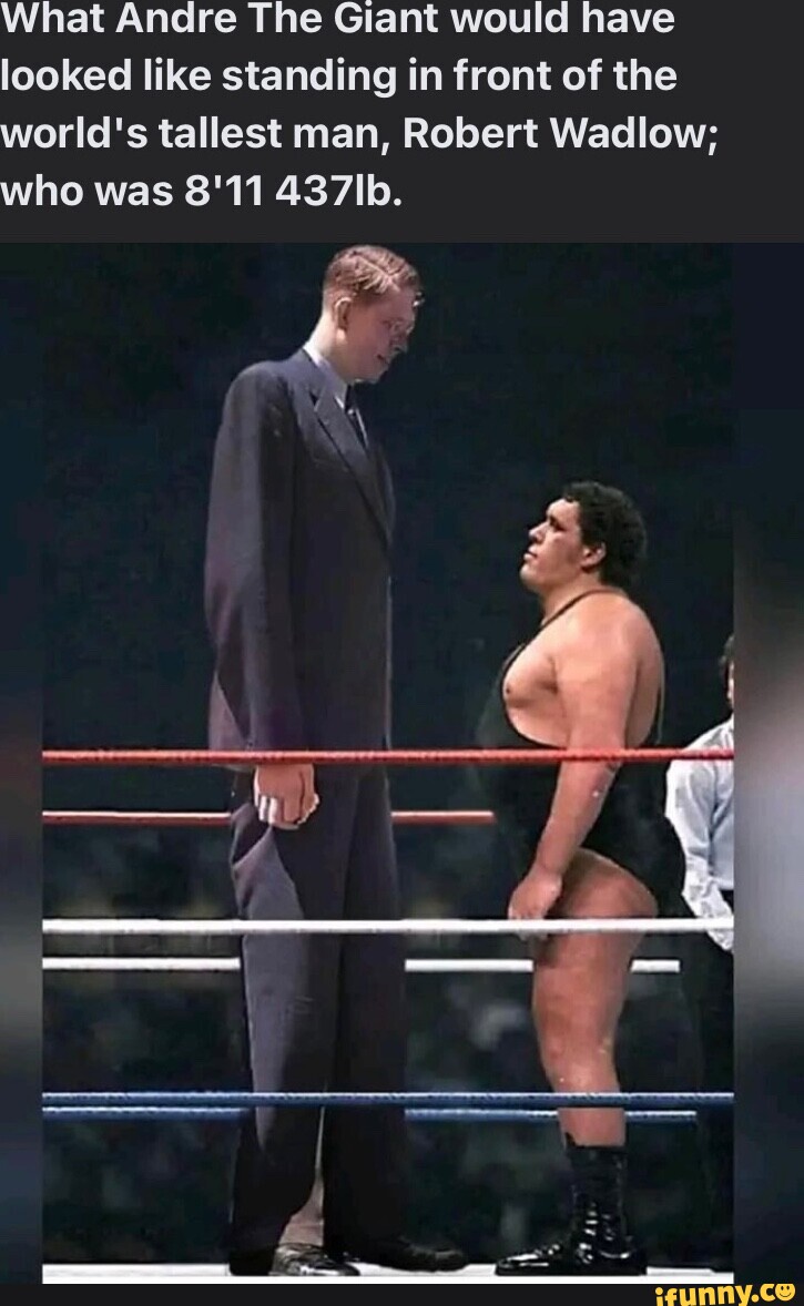 What Andre The Giant would have looked like standing in front of the ...