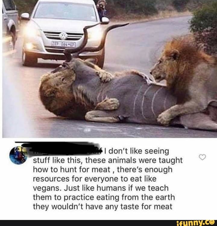 ¿O don't like seeing stuff like this, these animals were taught how to ...