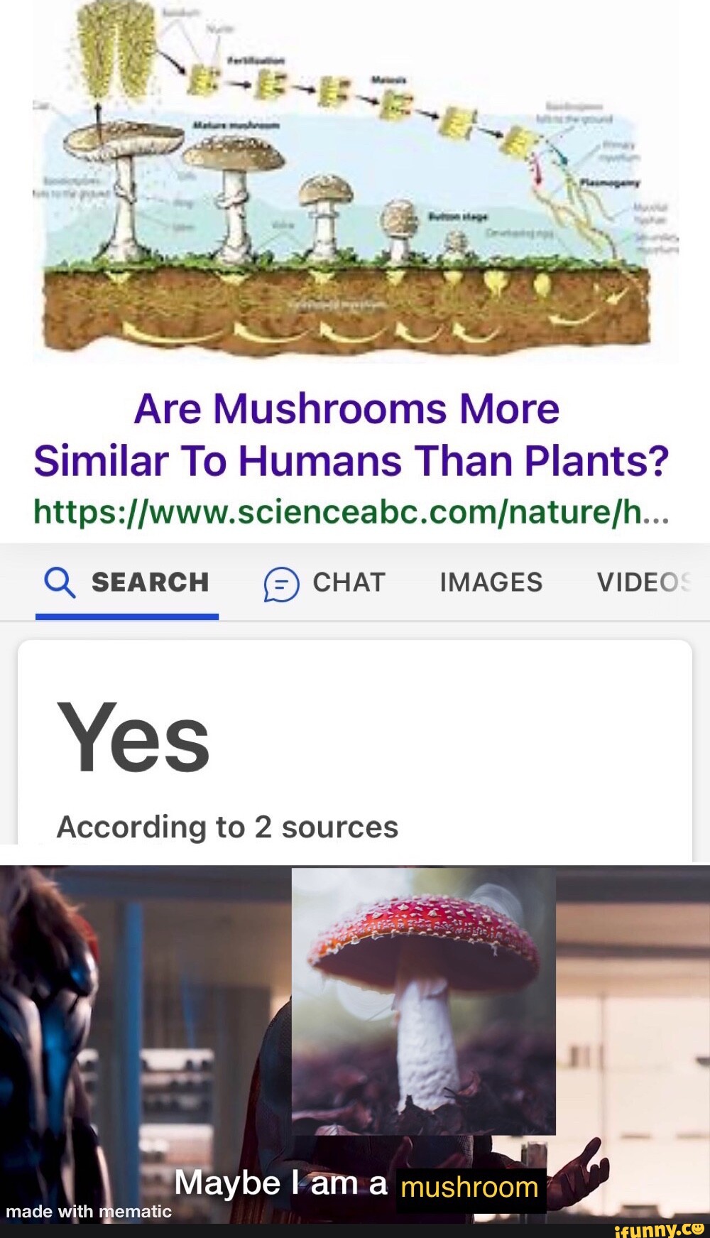 Universal Studios' new Mario Kart ride ripped for rules restricting ...