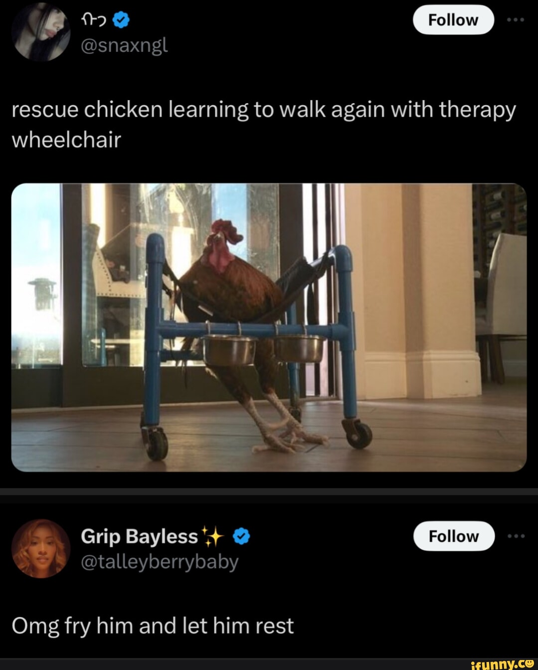 Ge rescue chicken learning to walk again with therapy wheelchair Grip ...