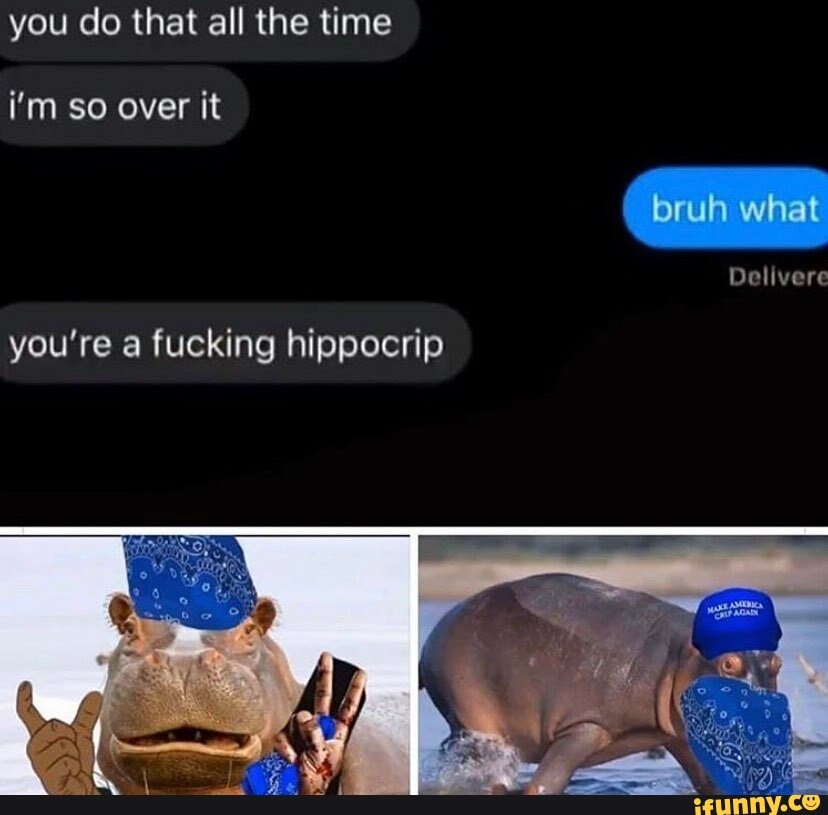 Hippocrip memes. Best Collection of funny Hippocrip pictures on iFunny