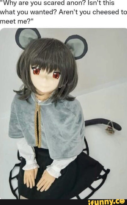 Nazrin memes. Best Collection of funny Nazrin pictures on iFunny