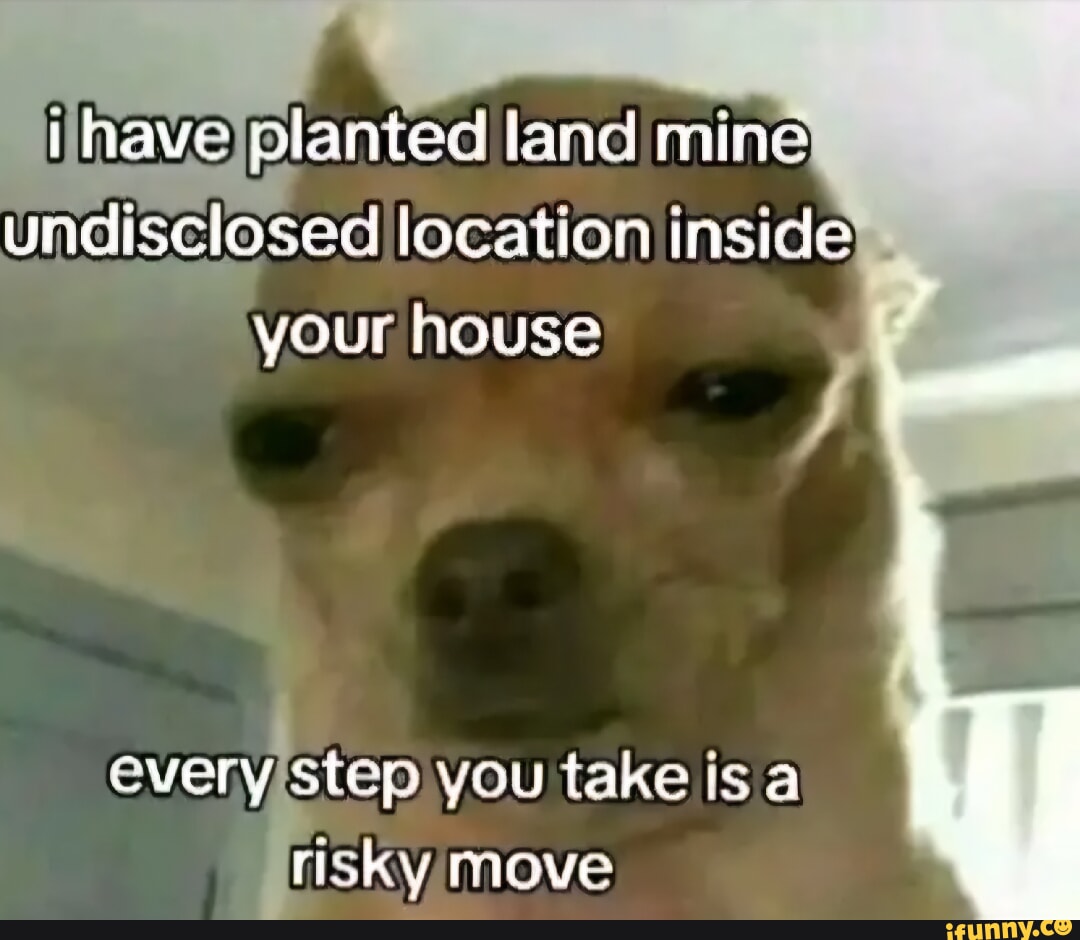 Risky memes. Best Collection of funny Risky pictures on iFunny