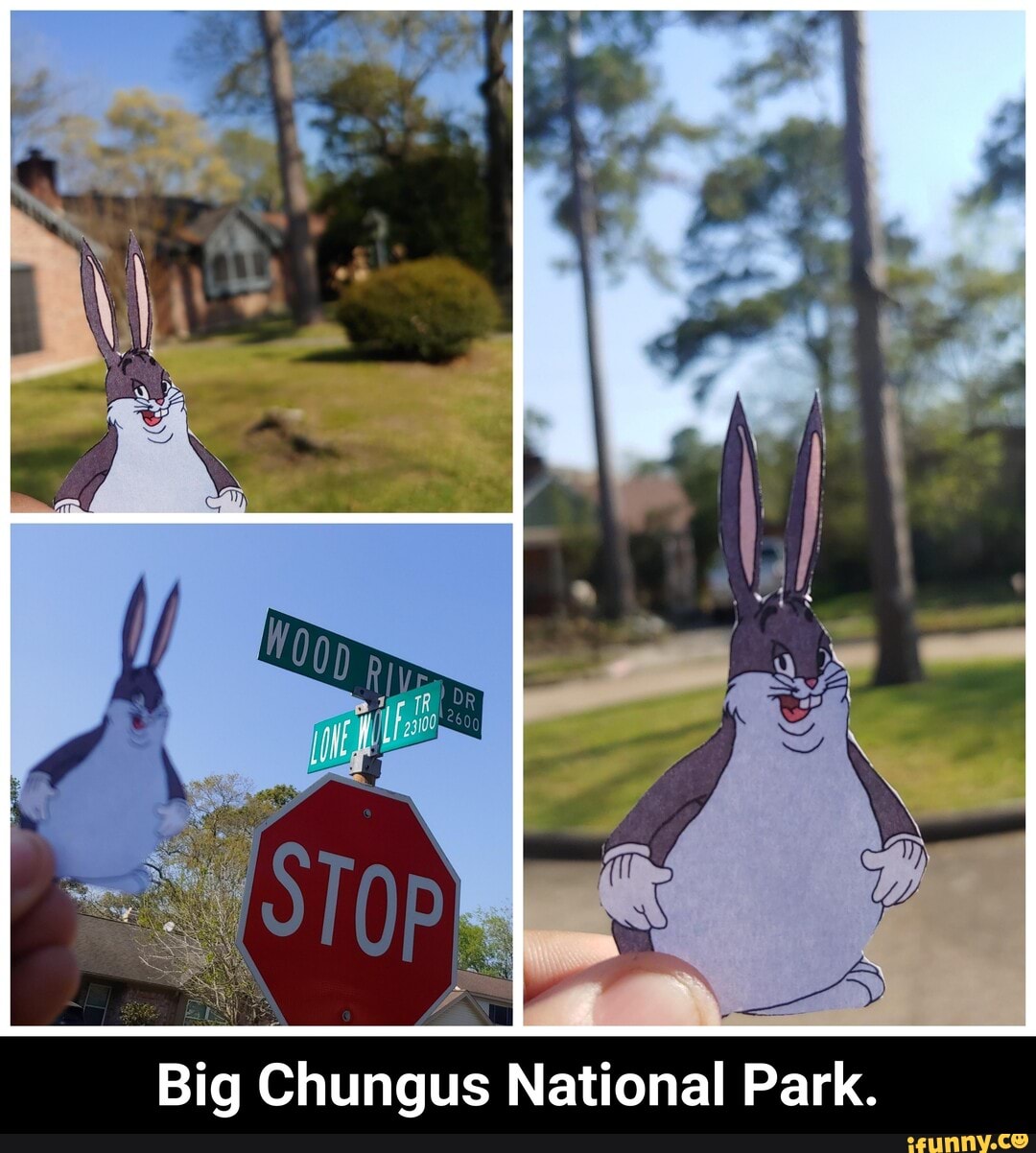 Big Chungus National Park. - Big Chungus National Park. - iFunny