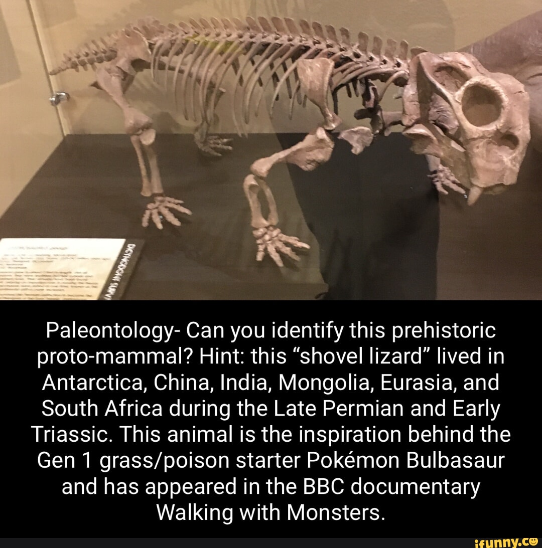 Triassic memes. Best Collection of funny Triassic pictures on iFunny