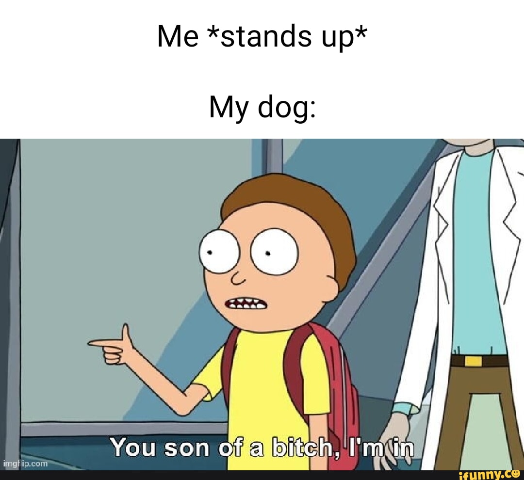 Rickandmorty memes. Best Collection of funny Rickandmorty pictures on ...