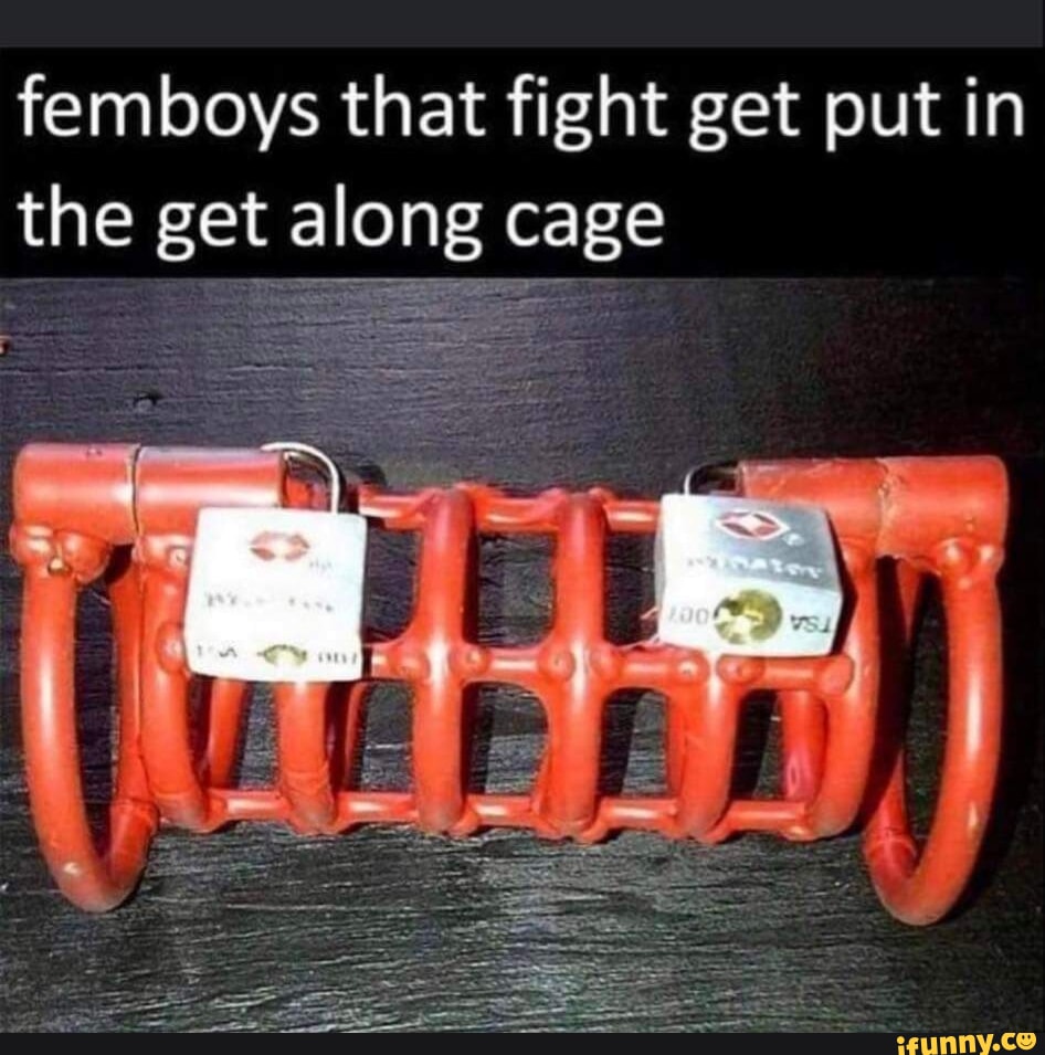 Femboys that fight get put in the get along cage - iFunny