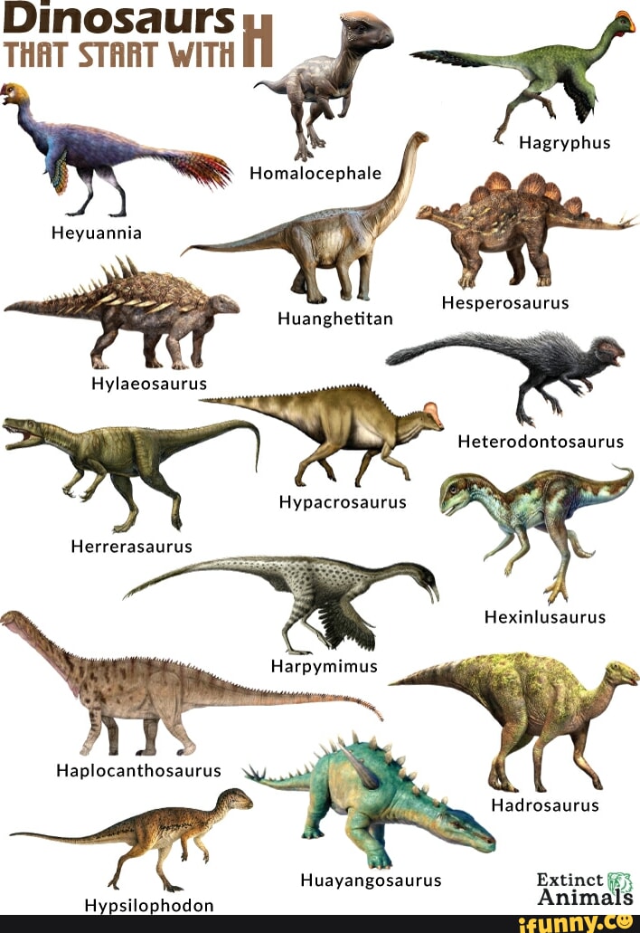 Dinosaurs THAT START WITH Hagryphus Homalocephale Heyuannia ...