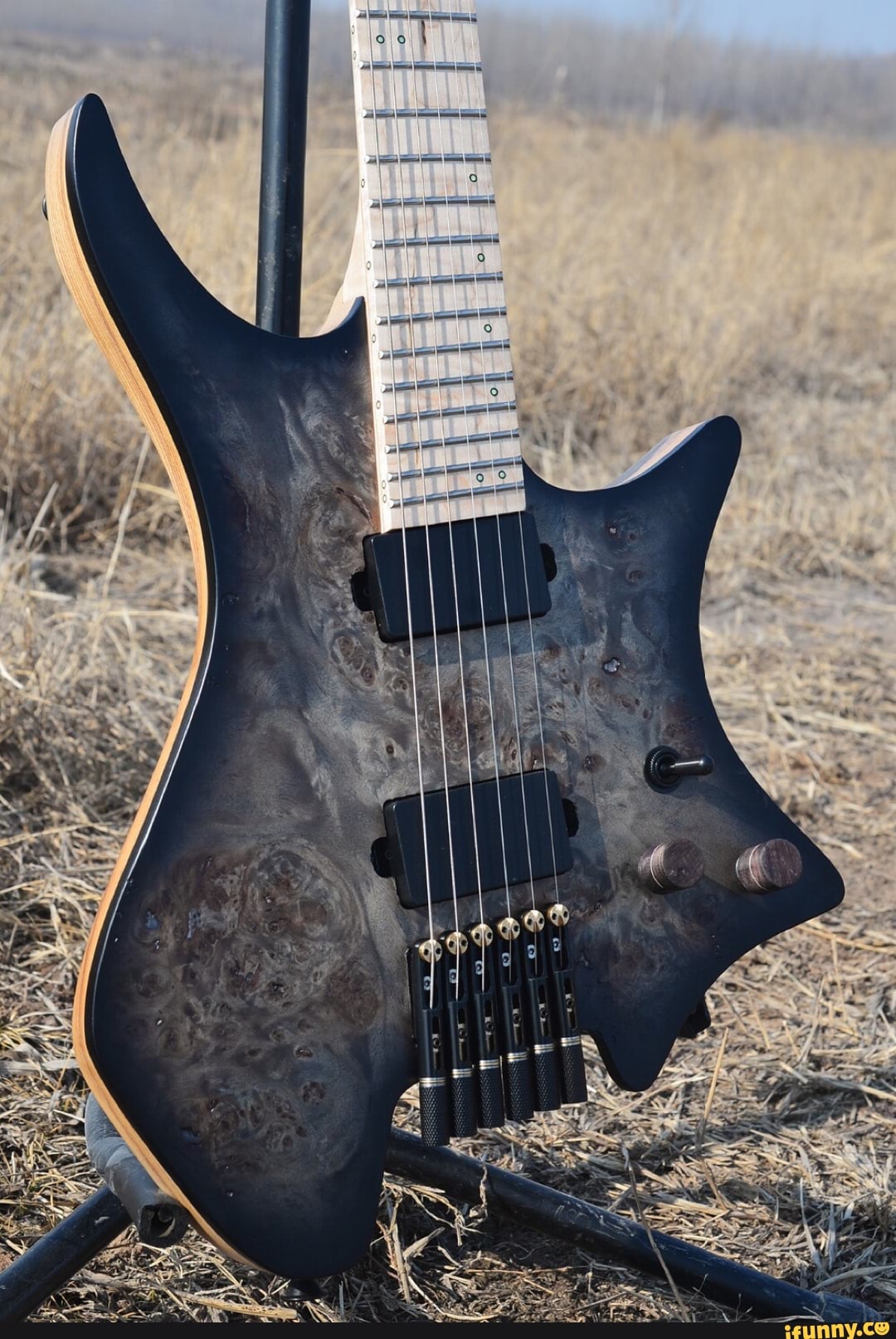 Strandberg memes. Best Collection of funny Strandberg pictures on iFunny