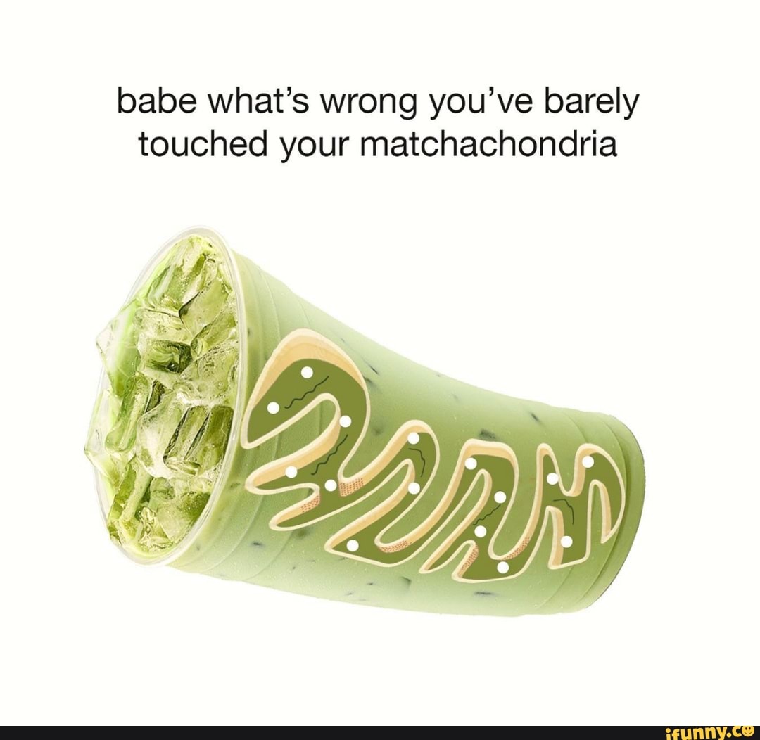 Powerhouseofthecell memes. Best Collection of funny Powerhouseofthecell ...