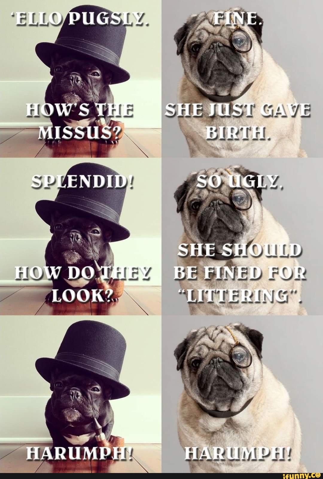 Harumph memes. Best Collection of funny Harumph pictures on iFunny