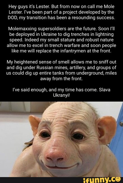 Molemaxxing memes. Best Collection of funny Molemaxxing pictures on iFunny