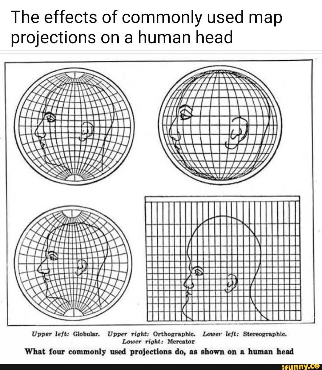 The effects of commonly used map projections on a human head BESS SS T ...