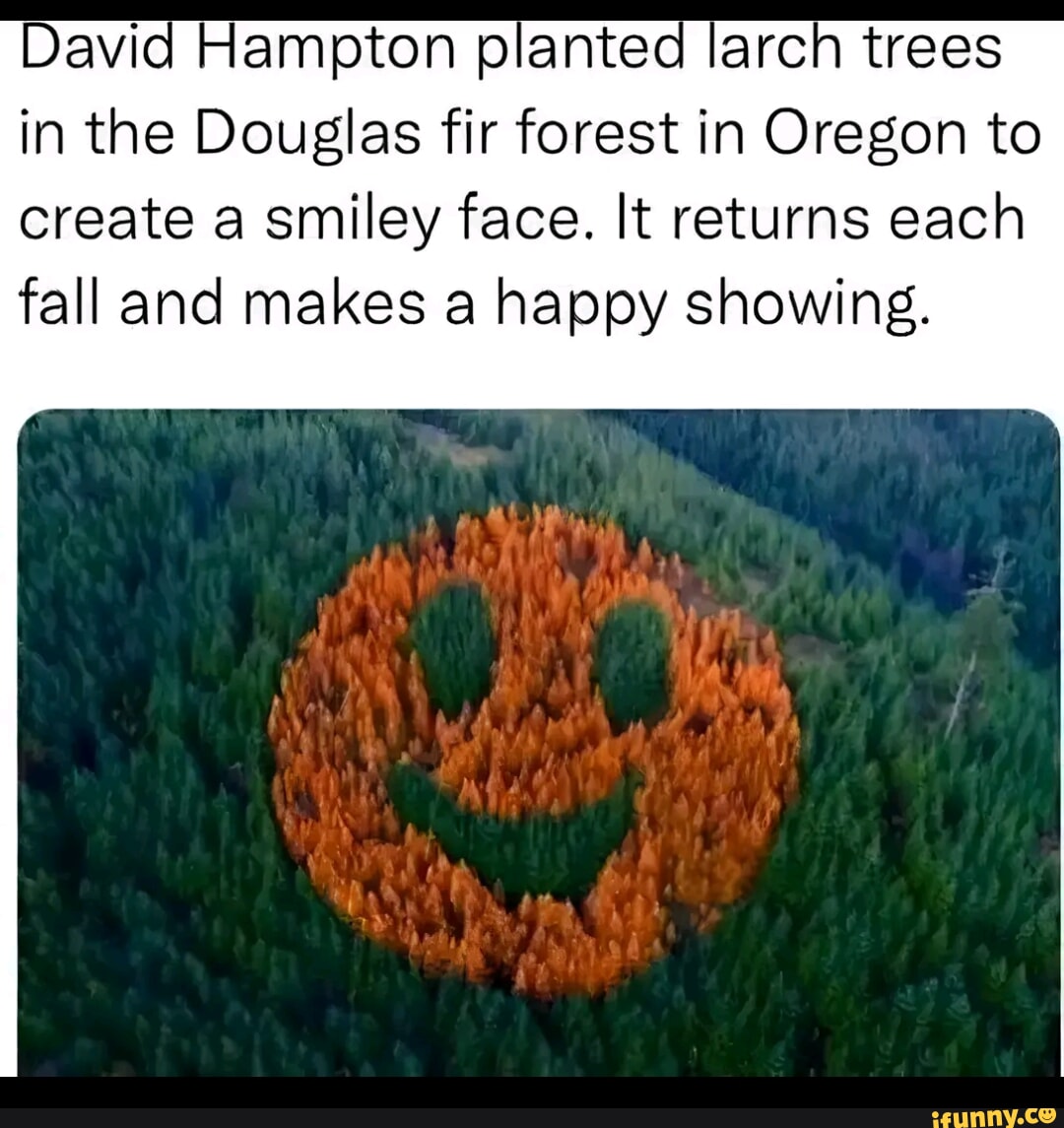 _{Fasy STRETCH (Or LOWR BAR Pain - iFunny