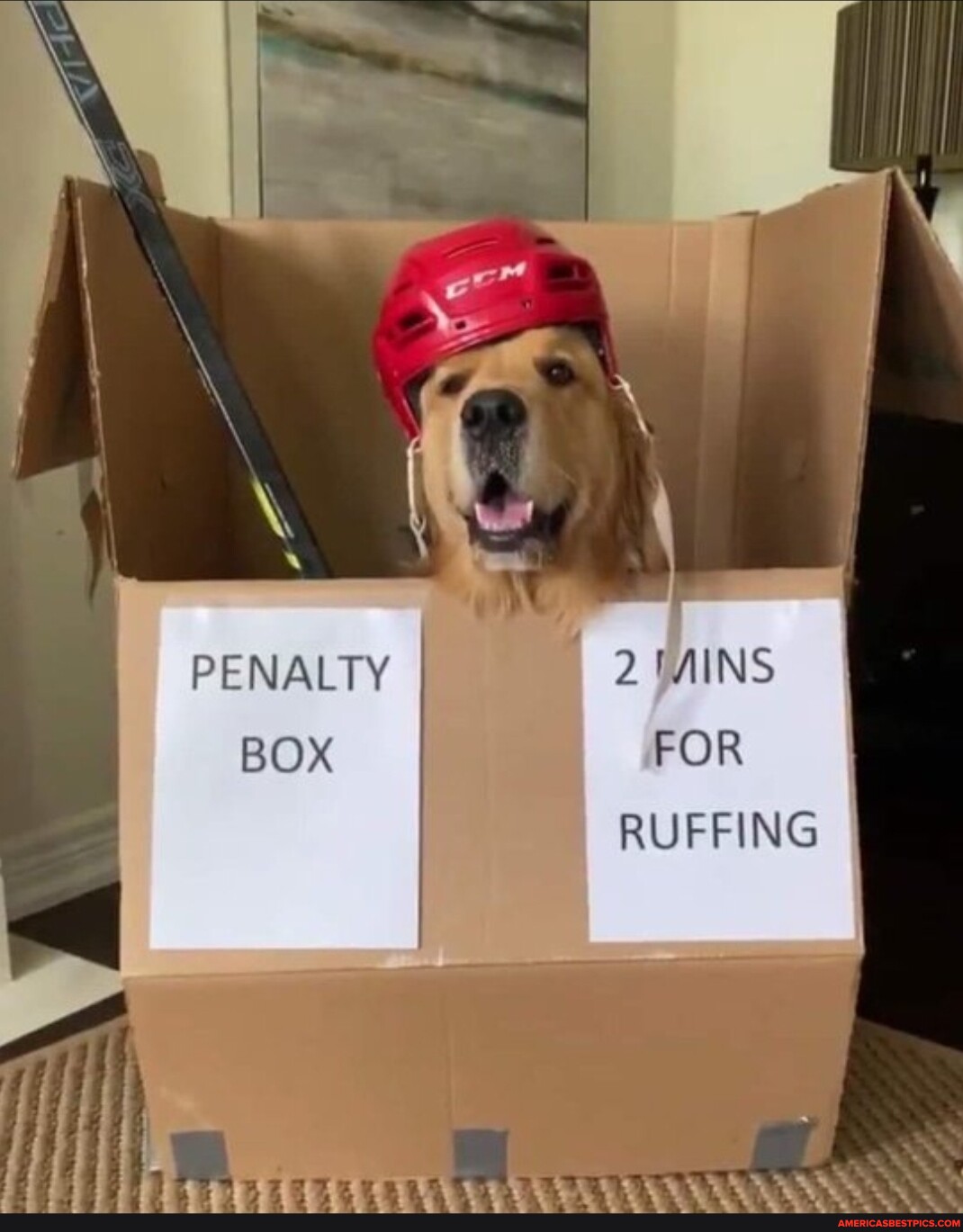 PENALTY 2 MAINS BOX FOR RUFFING - America’s best pics and videos