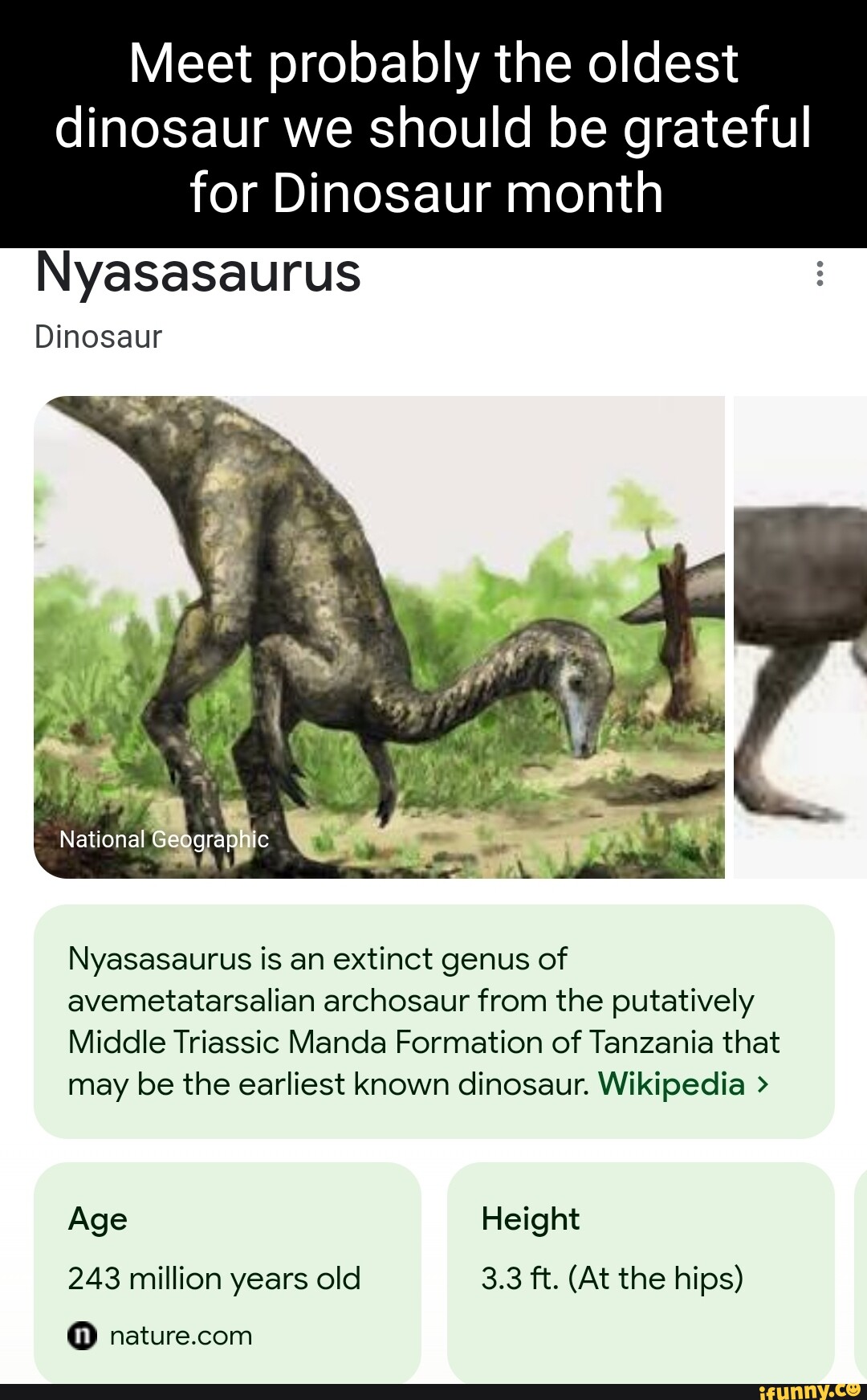 Tanzania memes. Best Collection of funny Tanzania pictures on iFunny