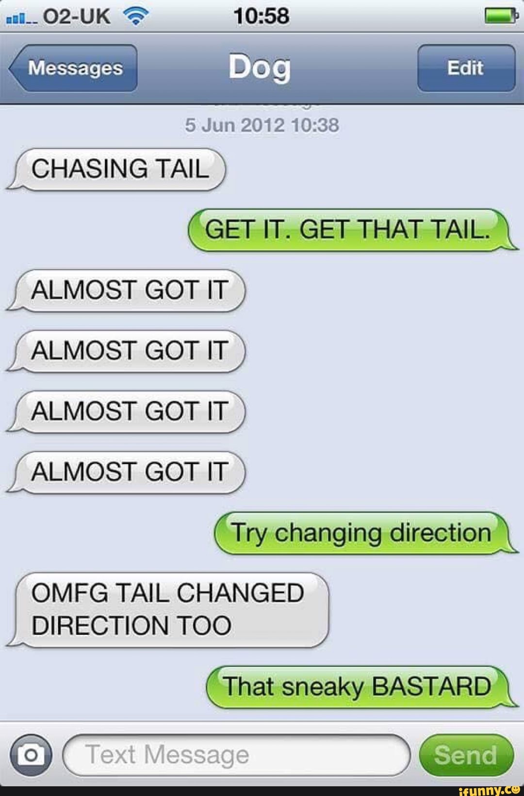 CHASING TAIL Try changing direction OMFG TAIL CHANGED DIRECTION TOO ...