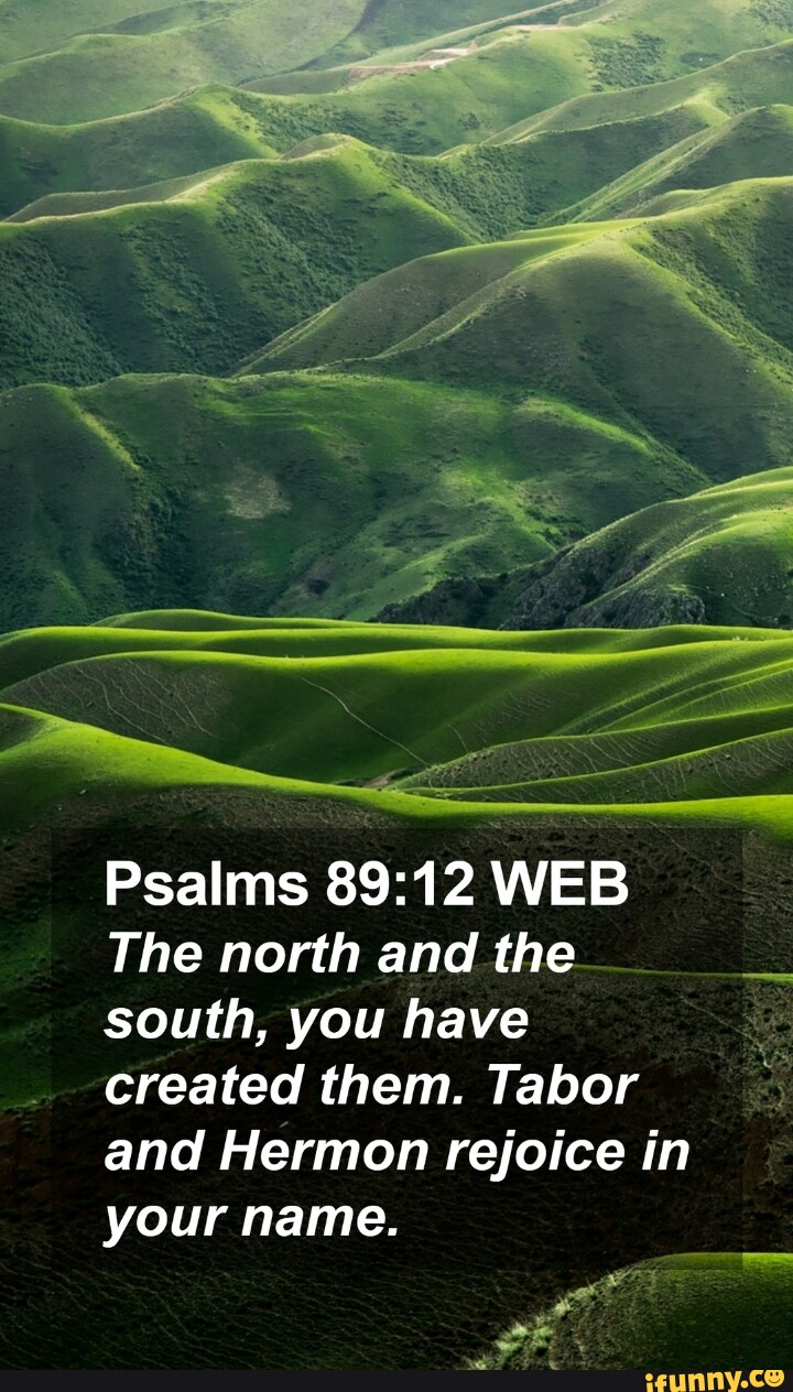 Tabor memes. Best Collection of funny Tabor pictures on iFunny