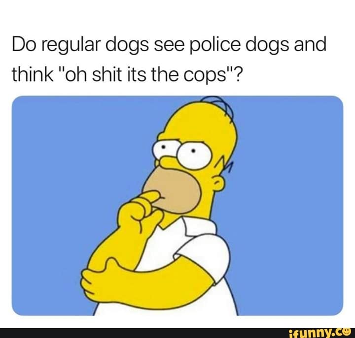 Do regular dogs see police dogs and think "oh shit its the cops"? - iFunny