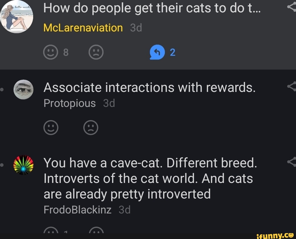 Breed memes. Best Collection of funny Breed pictures on iFunny