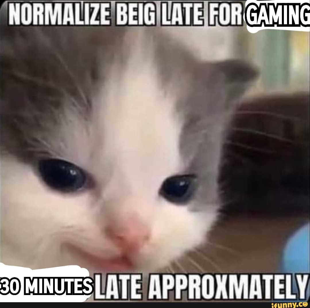 Hormiolize memes. Best Collection of funny Hormiolize pictures on iFunny
