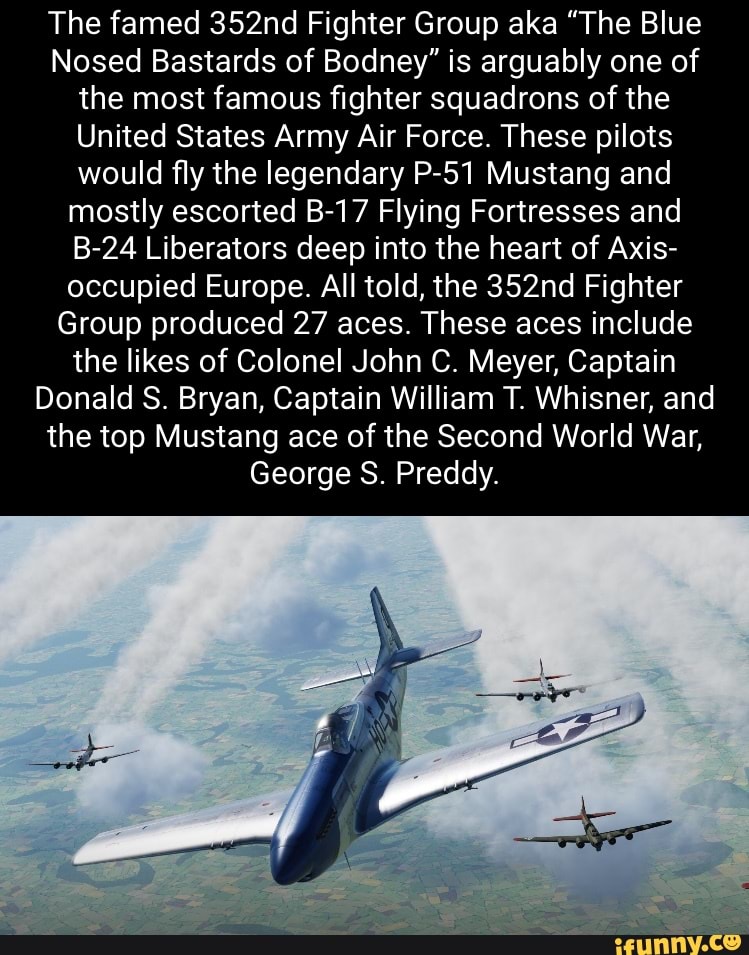 The famed 352nd Fighter Group aka "The Blue Nosed Bastards of Bodney ...