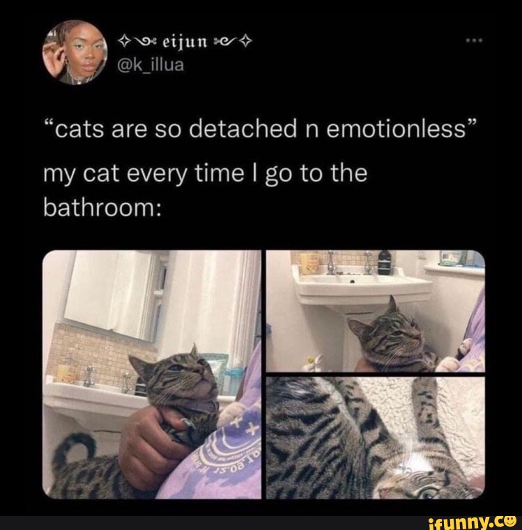 Detached memes. Best Collection of funny Detached pictures on iFunny