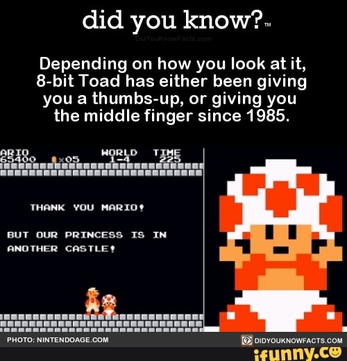 Did you know?. Depending on how you look at it, 8-bit Toad has either ...