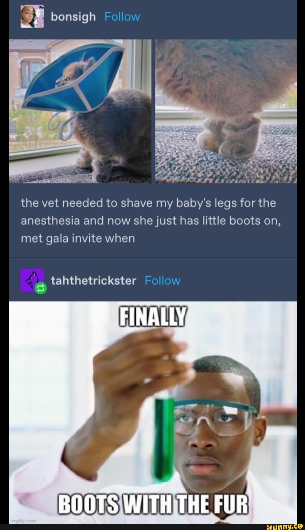 Anesthesia memes. Best Collection of funny Anesthesia pictures on iFunny