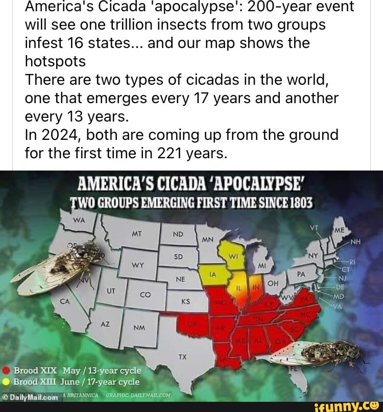 Cicada memes. Best Collection of funny Cicada pictures on iFunny