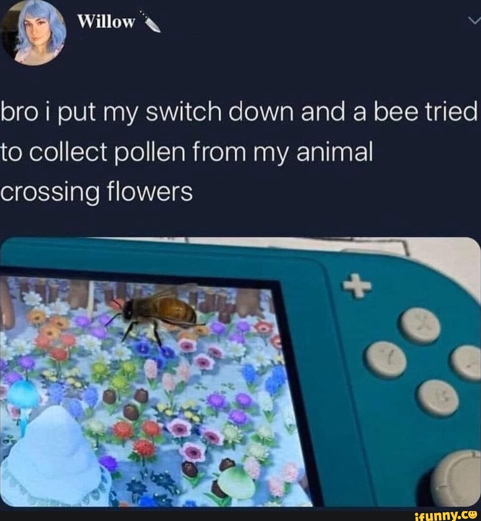 Pollen memes. Best Collection of funny Pollen pictures on iFunny