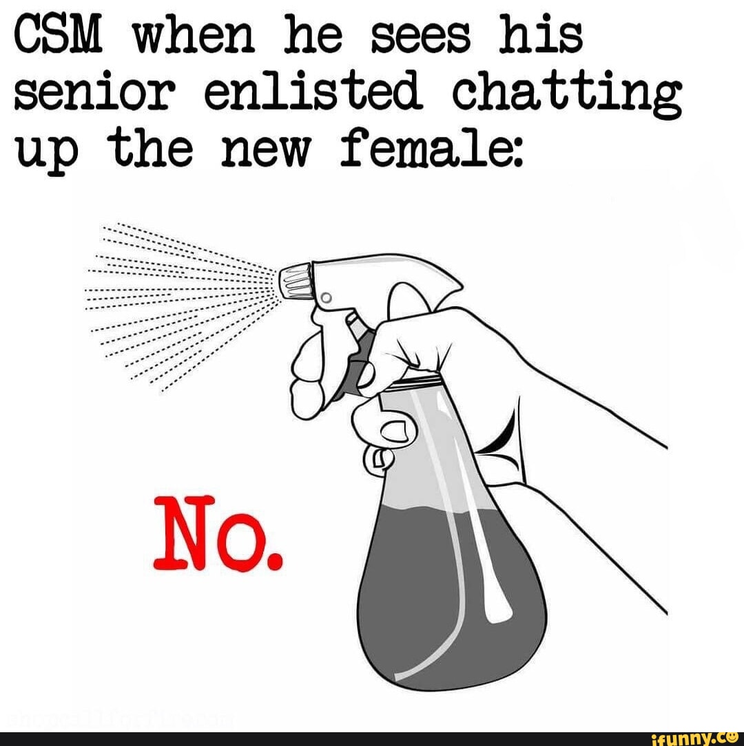 CSM when he sees his senior enlisted chatting up the new female: - iFunny