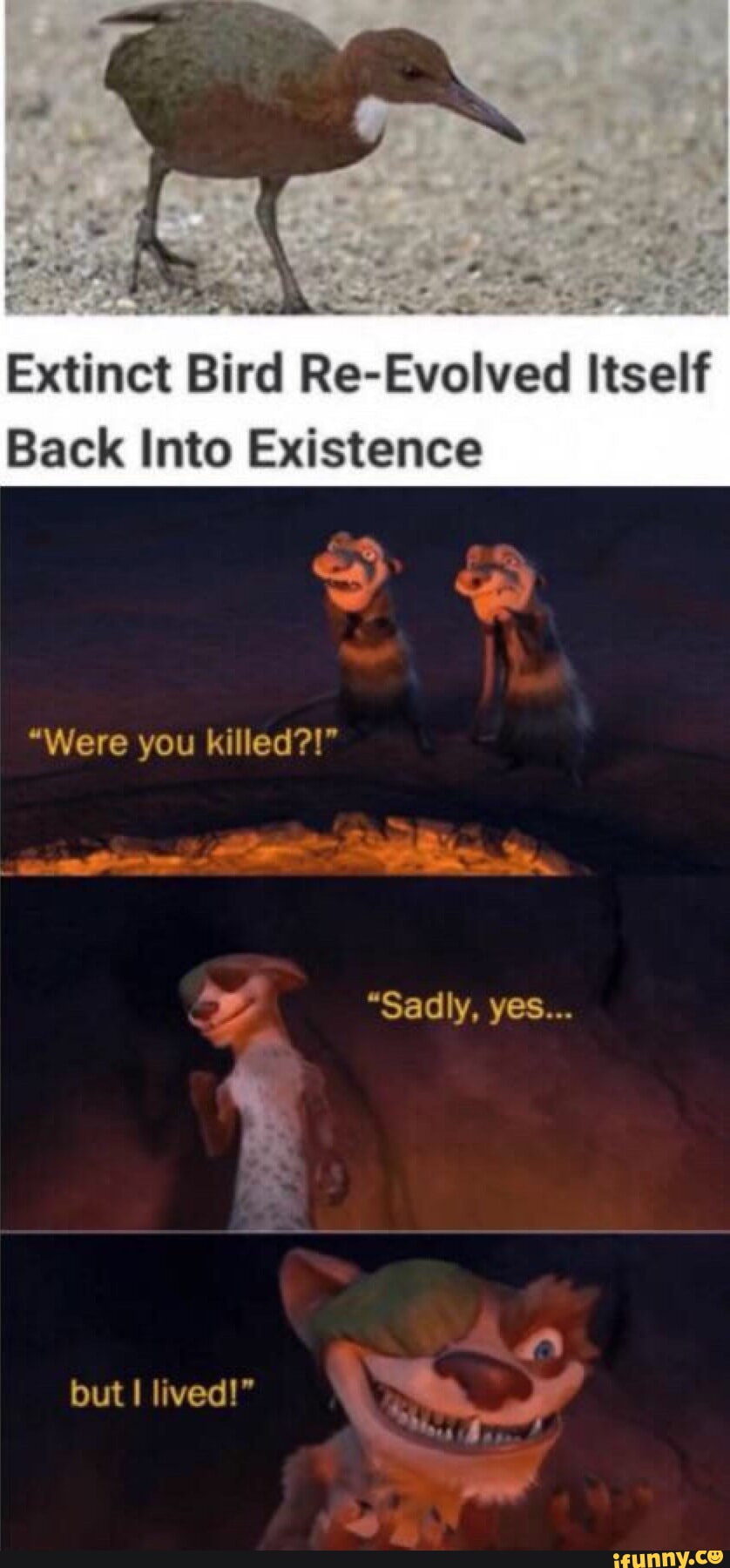 Russian Airborne Troops - VDV - iFunny