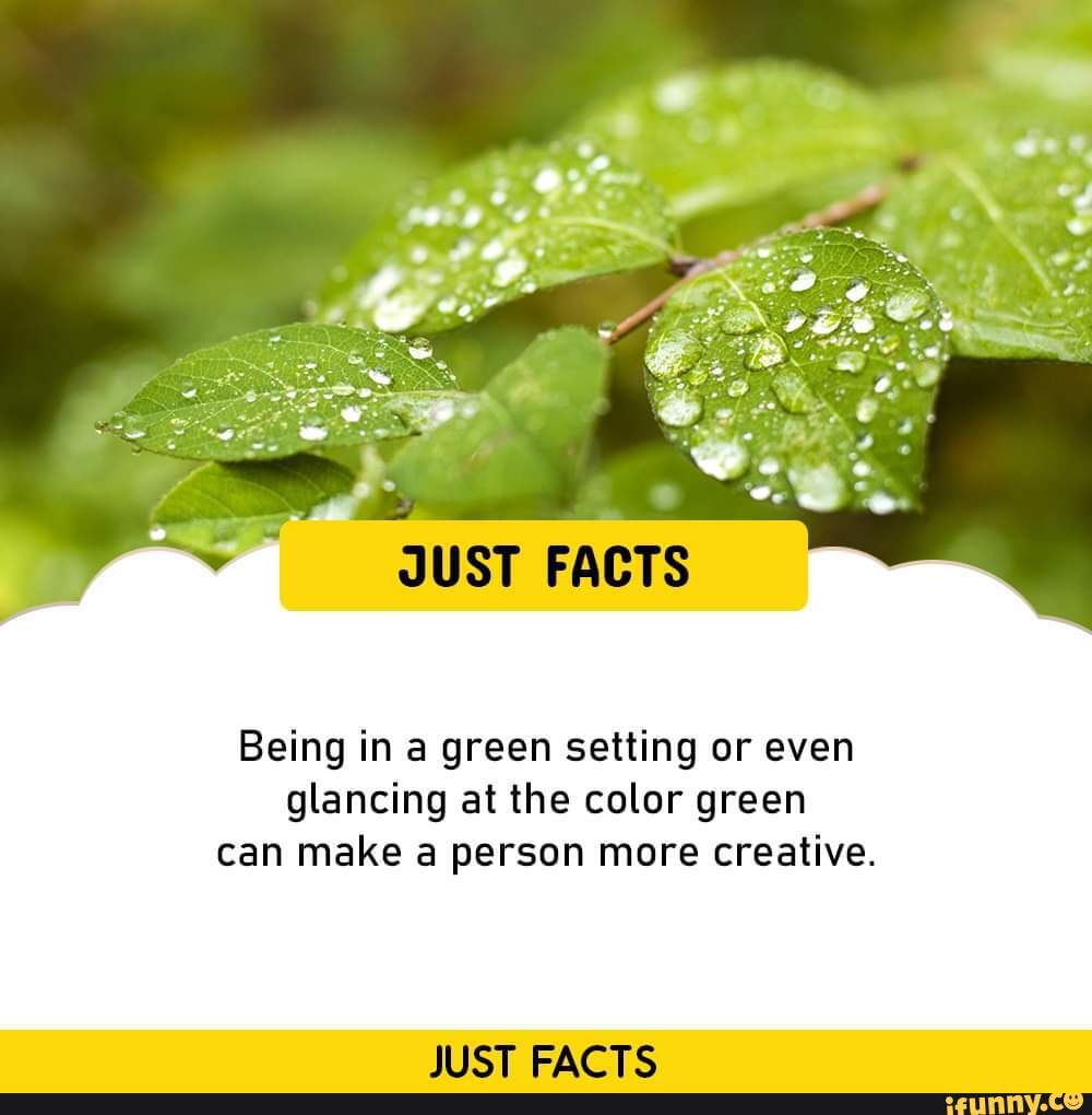 JUST FACTS Being in a green setting or even glancing at the color green ...