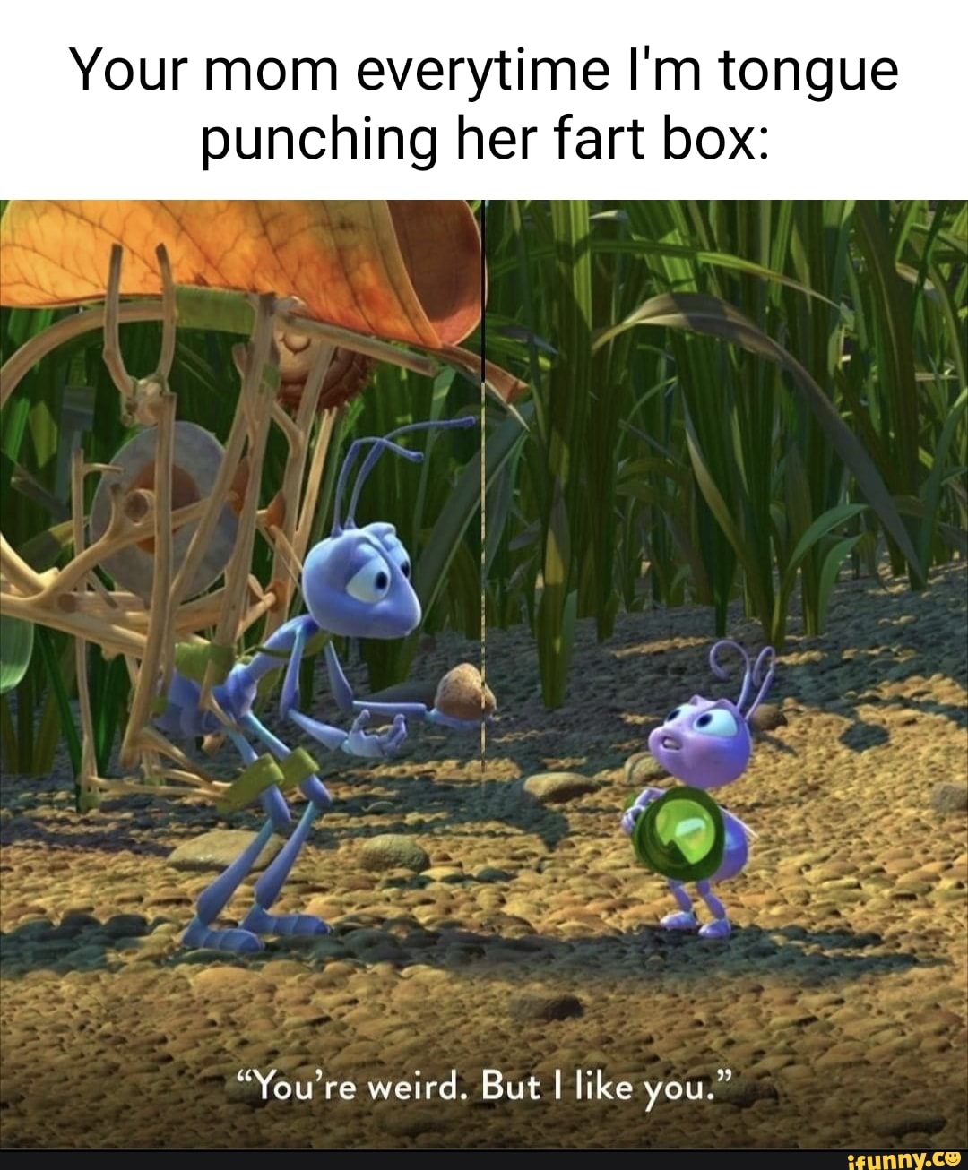 Your mom everytime I'm tongue punching her fart box: ide "You re weird. But I like you." - iFunny
