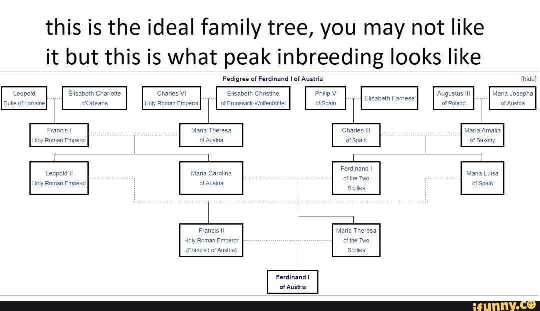 This is the ideal family tree, you may not like it but this is what ...