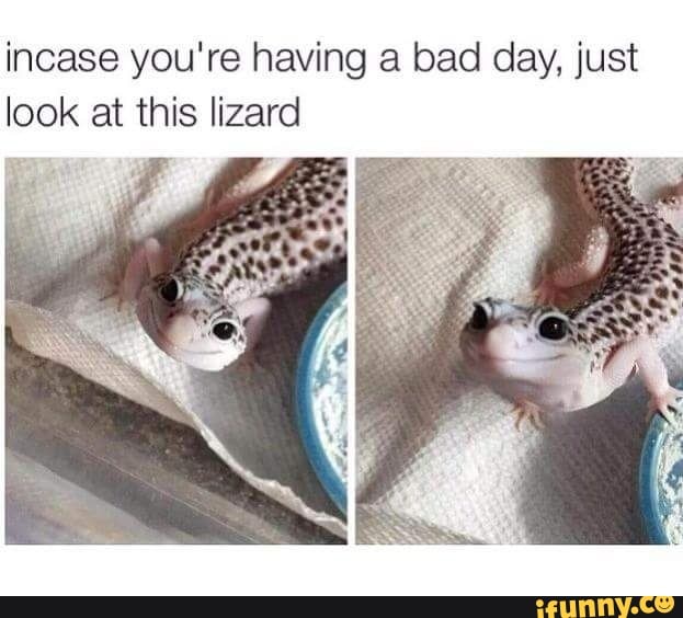 Having A Bad Day Ecards