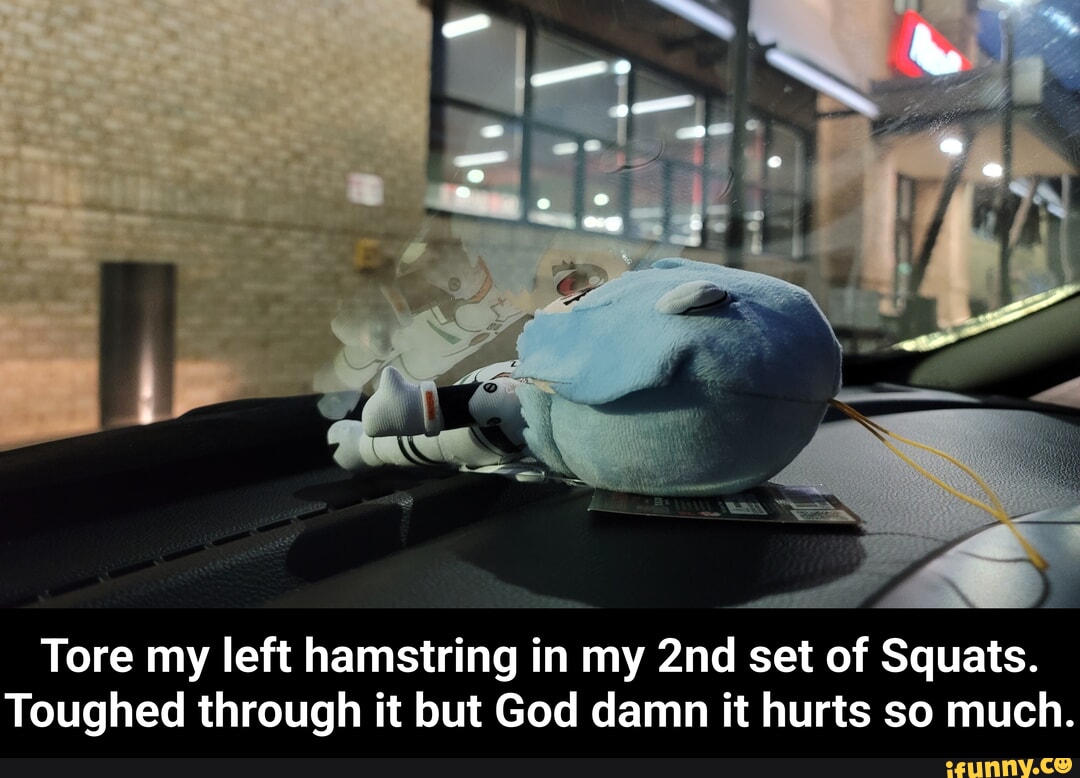 Hamstring memes. Best Collection of funny Hamstring pictures on iFunny ...
