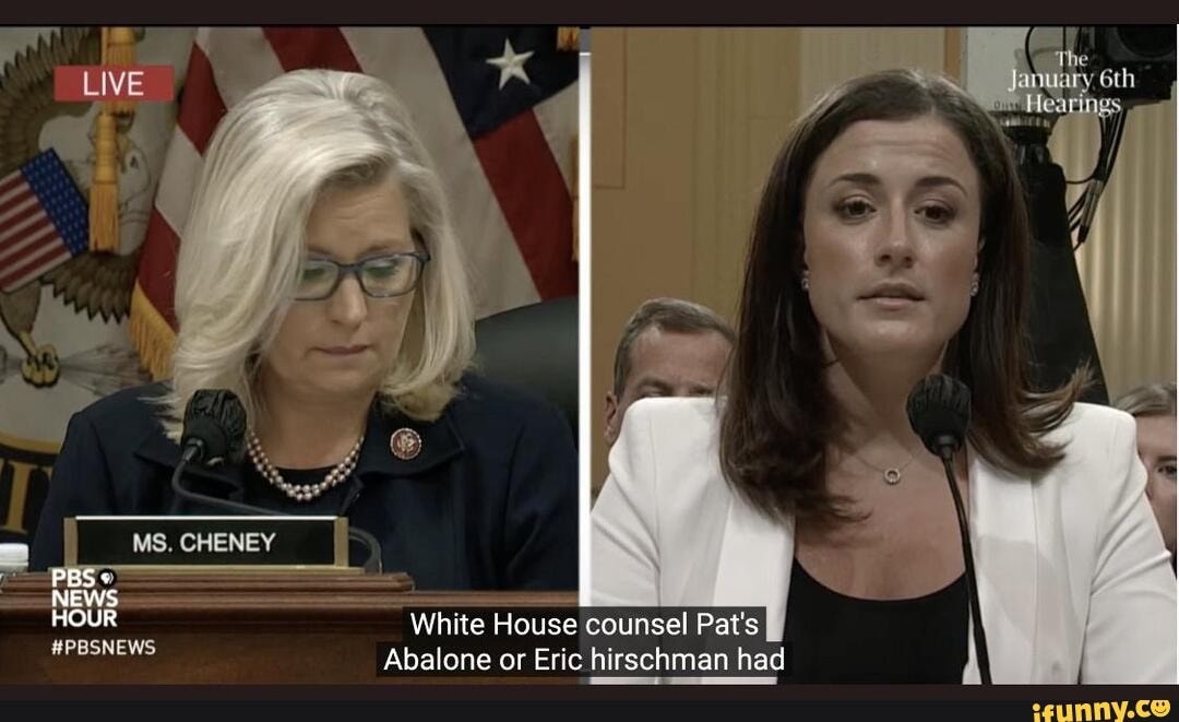 Abalone memes. Best Collection of funny Abalone pictures on iFunny