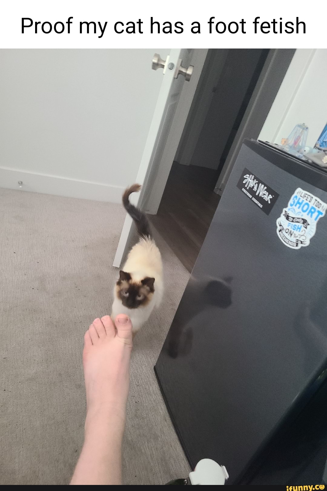 Footfag memes. Best Collection of funny Footfag pictures on iFunny