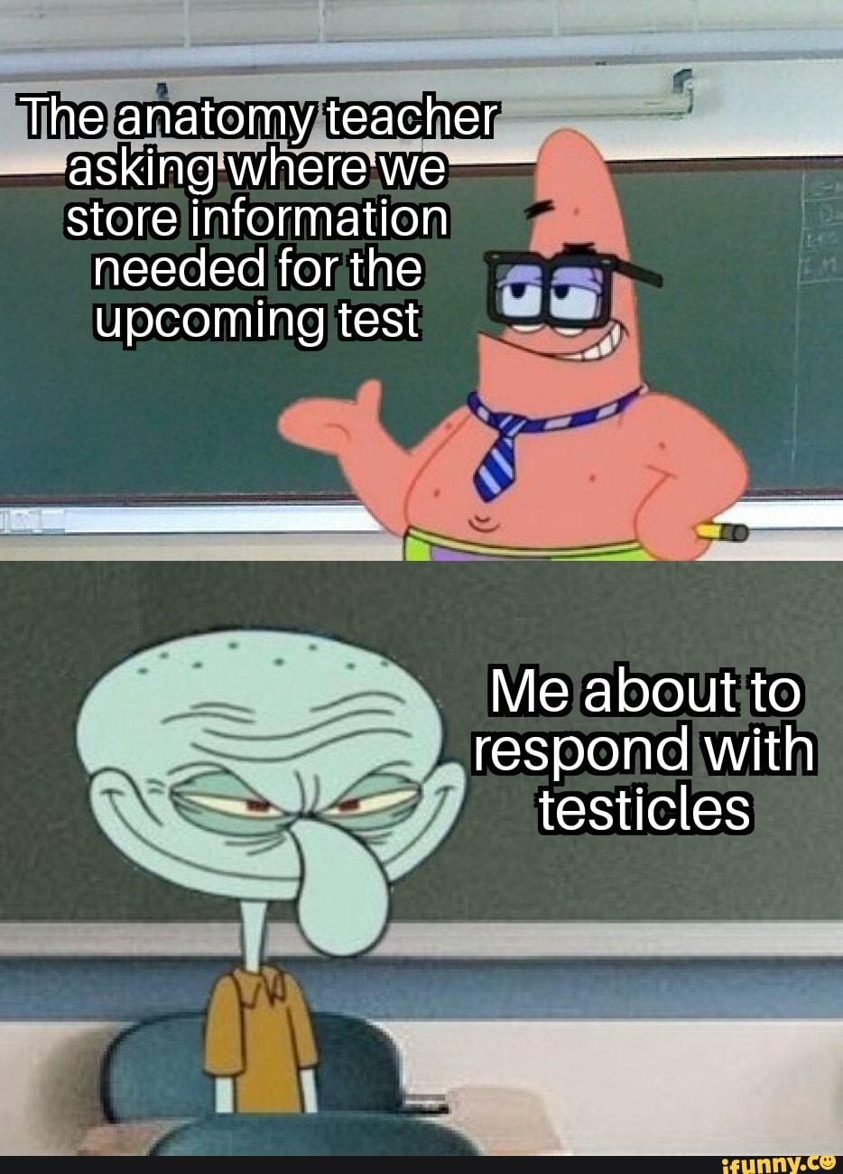 The anatomy teacher asking where we ~ store information needed for the ...