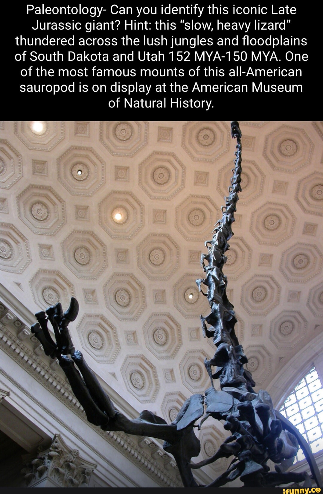 Paleontology- Can you identify this iconic Late Jurassic giant? Hint ...
