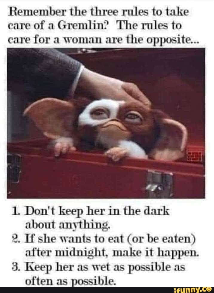 Remember the three rules to take care of a Gremlin? The rules to care ...