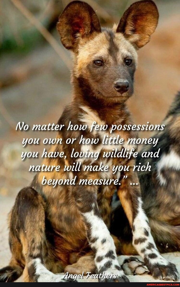 No matter how few possessions you own or how little money you have ...