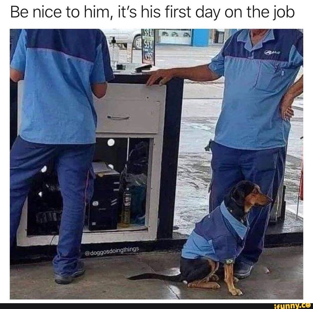 Be nice to him, it's his first day on the job - iFunny