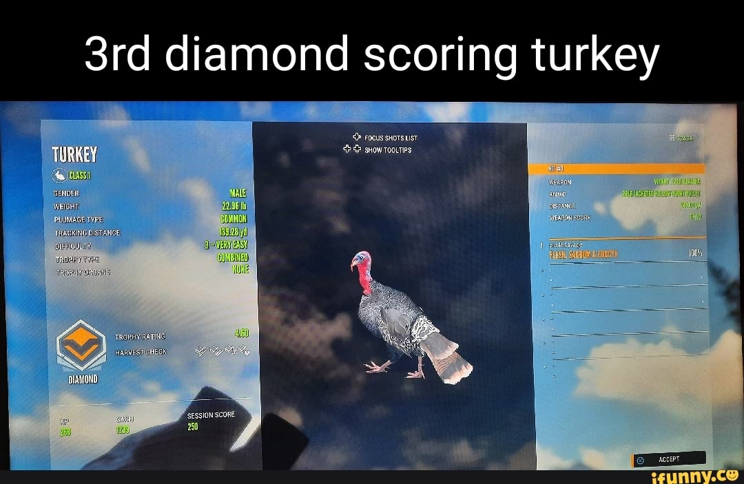 Tooltips memes. Best Collection of funny Tooltips pictures on iFunny